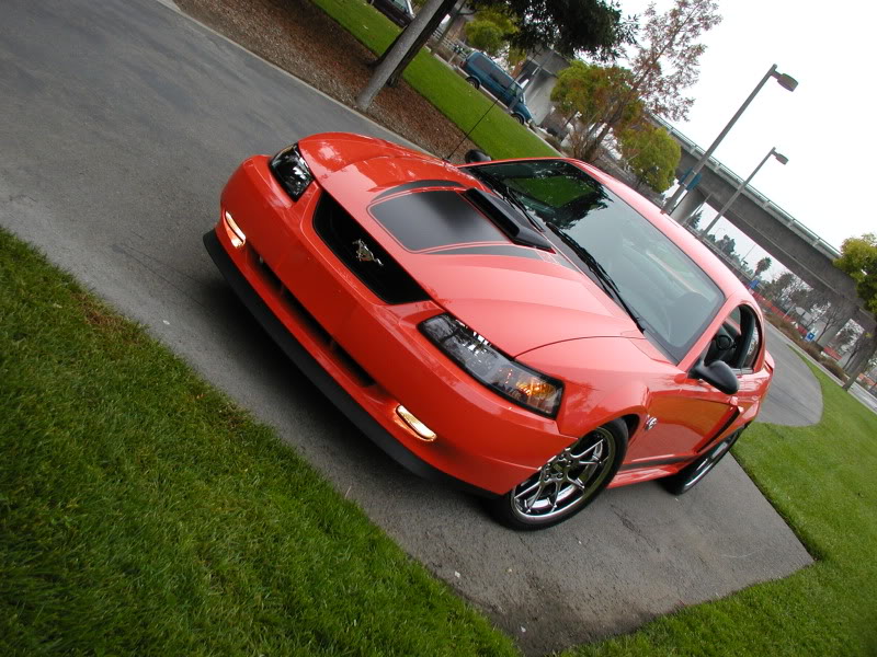 Need 4 Wheels? Reader Wants to Trade His 2004 Mustang Mach 1 For Your ...