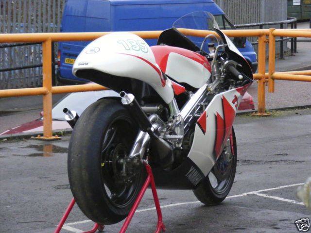 tz rear - Rare SportBikesForSale