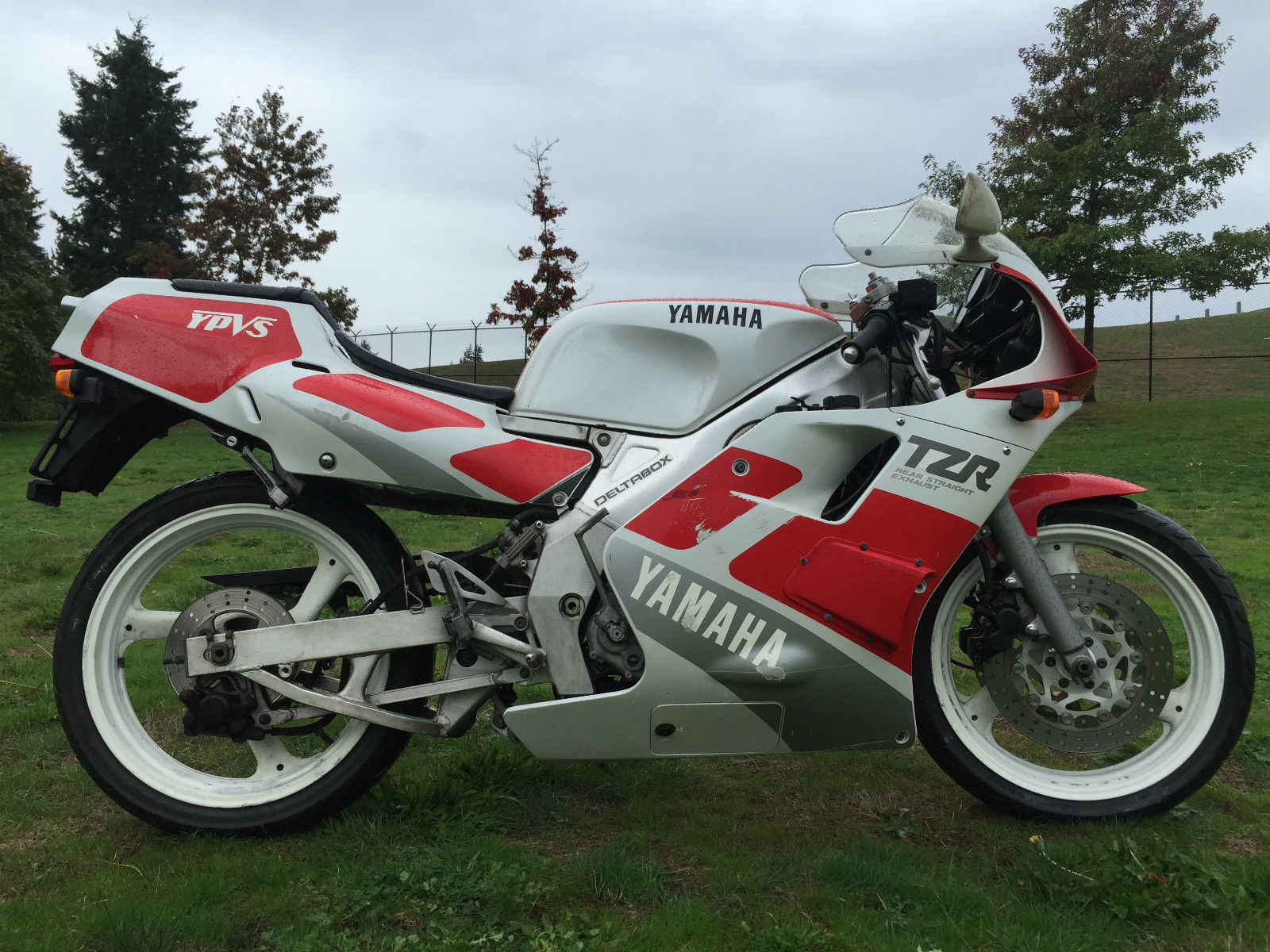 Rare Middle-Child: 1989 Yamaha TZR250 3MA for Sale Rare SportBikesForSale