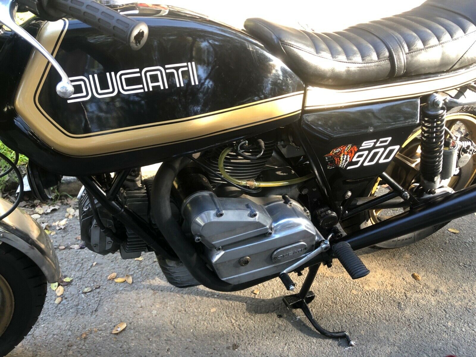 Black and Gold Tiger - 1979 Ducati 900SD Darmah - Rare SportBikesForSale